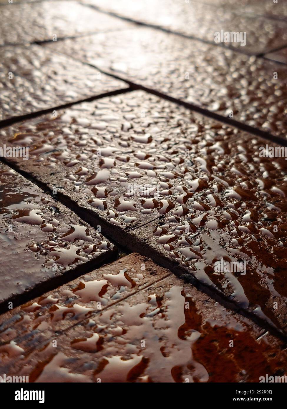 Wet brick pavement with water droplets, highlighting the texture ...