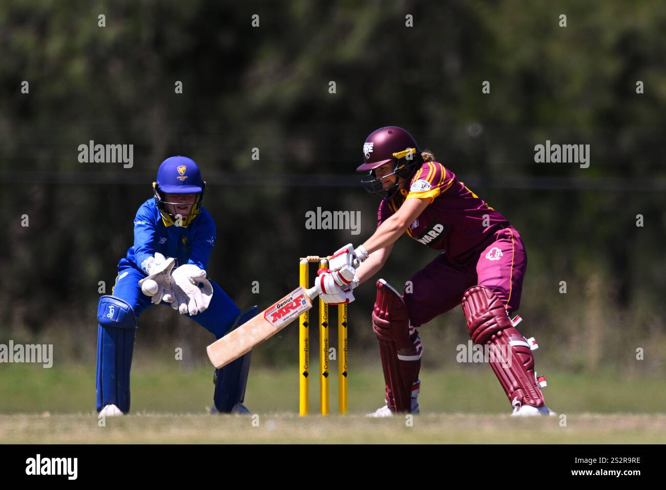 Canberra, Australia. 20th Dec, 2024. Mikayla Wrigley of Queensland bats ...
