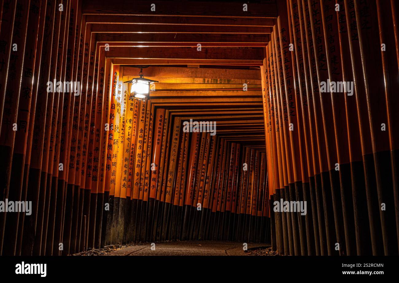 A lengthy, dark wooden tunnel stretches out ahead, with a bright light ...