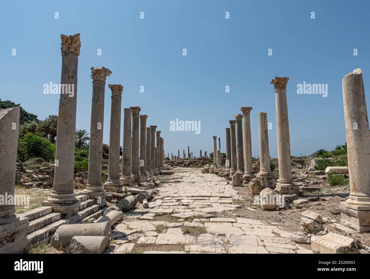 A long, impressive row of grand columns lining the sides of an ancient ...