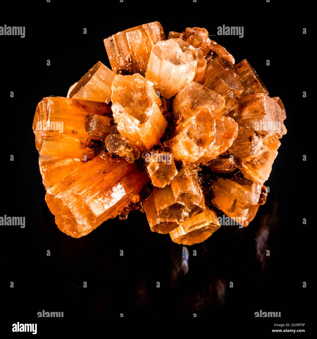A large Aragonite orange crystal formation sits on a black background ...