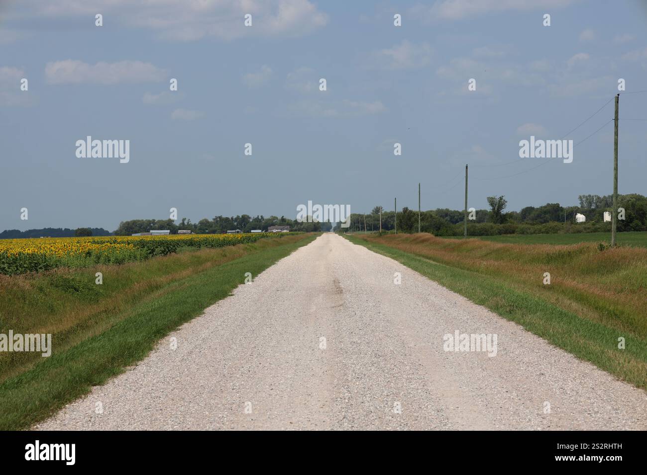 rural prairie gravel road flanked by fields of crops stretches to the ...