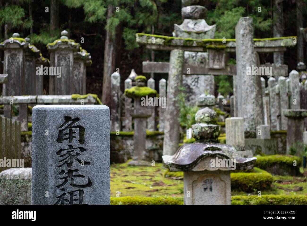 Koyasan cemetery in Japan. Amazing tombs, toriis and atmosphere. Foggy ...