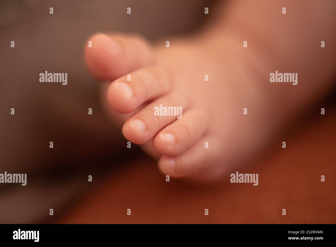 3 months old baby's foot Stock Photo - Alamy