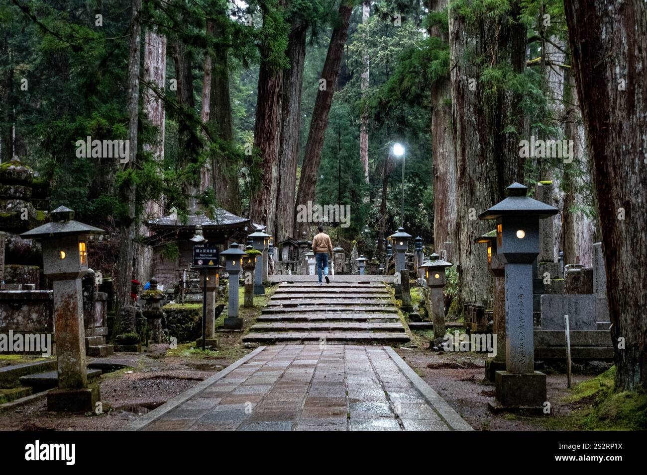 Koyasan cemetery in Japan. Amazing lights and atmosphere. Foggy trees. Ghibli inspiration Stock ...