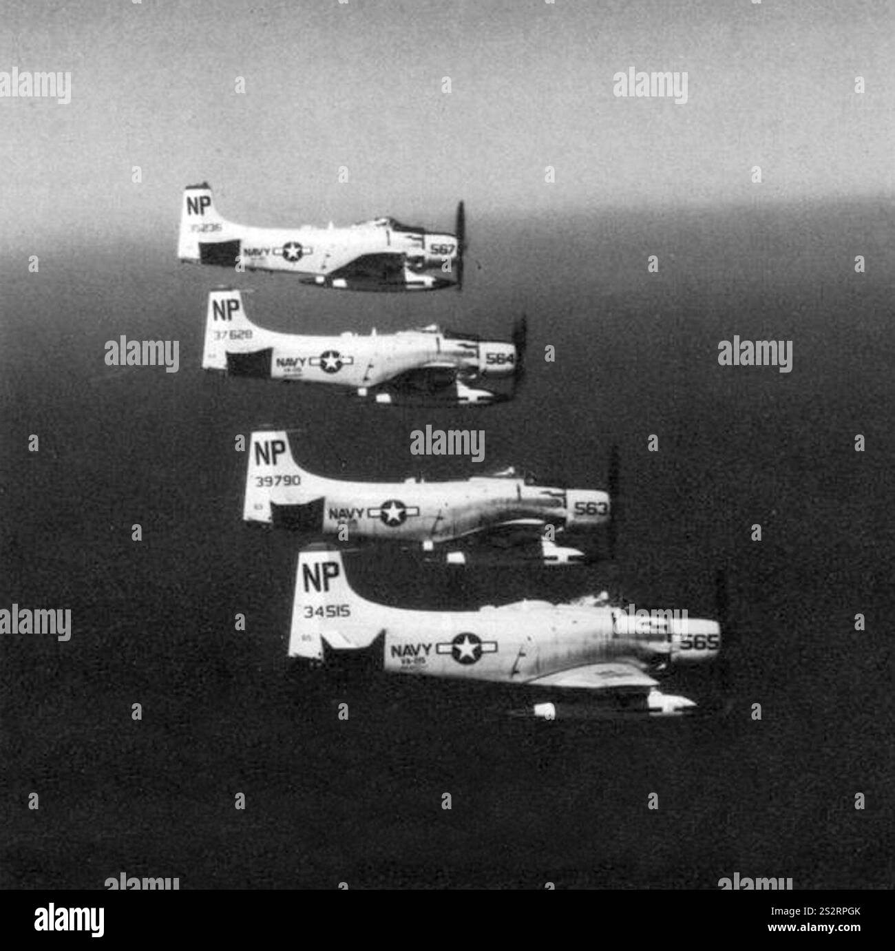Four Douglas A-1H Skyraider of VA-215 in flight, circa in 1965 Stock ...