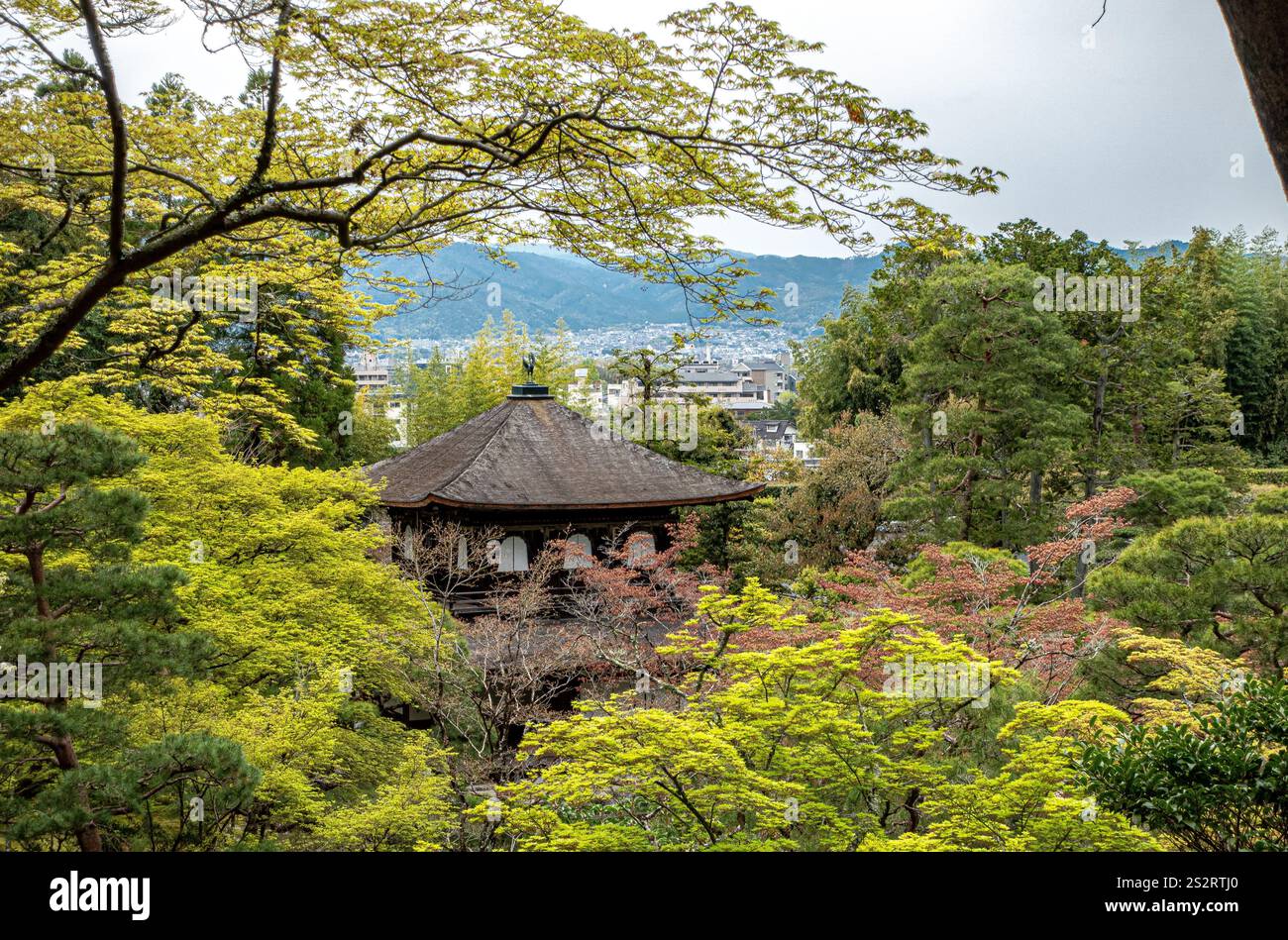 A beautiful gazebo is in a lush forest surrounded by trees in Kyoto gardens. Japan Stock Photo ...