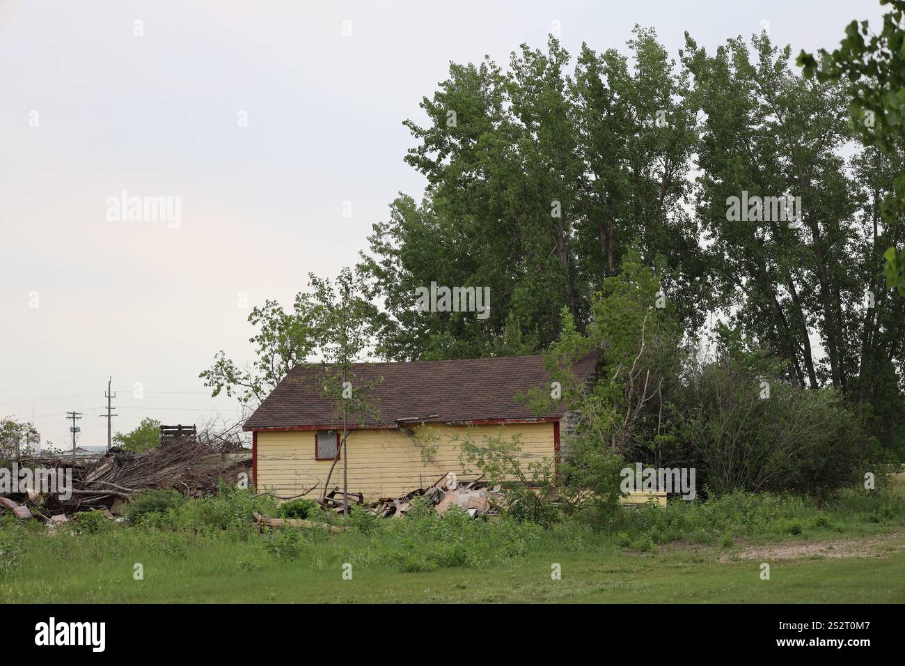 abandoned farmhouse decaying and overgrown amidst mounds of rubbish ...