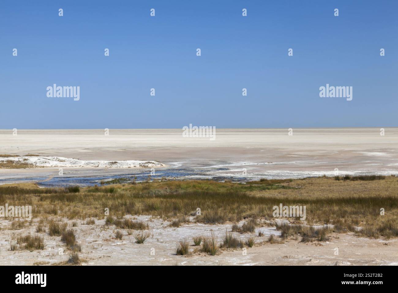 View of the Etosha salt pan, Namibia, Africa Stock Photo - Alamy