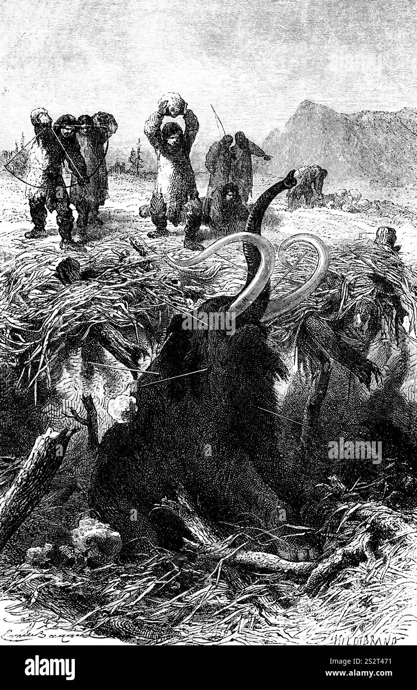 Deep thick fur Black and White Stock Photos & Images - Alamy