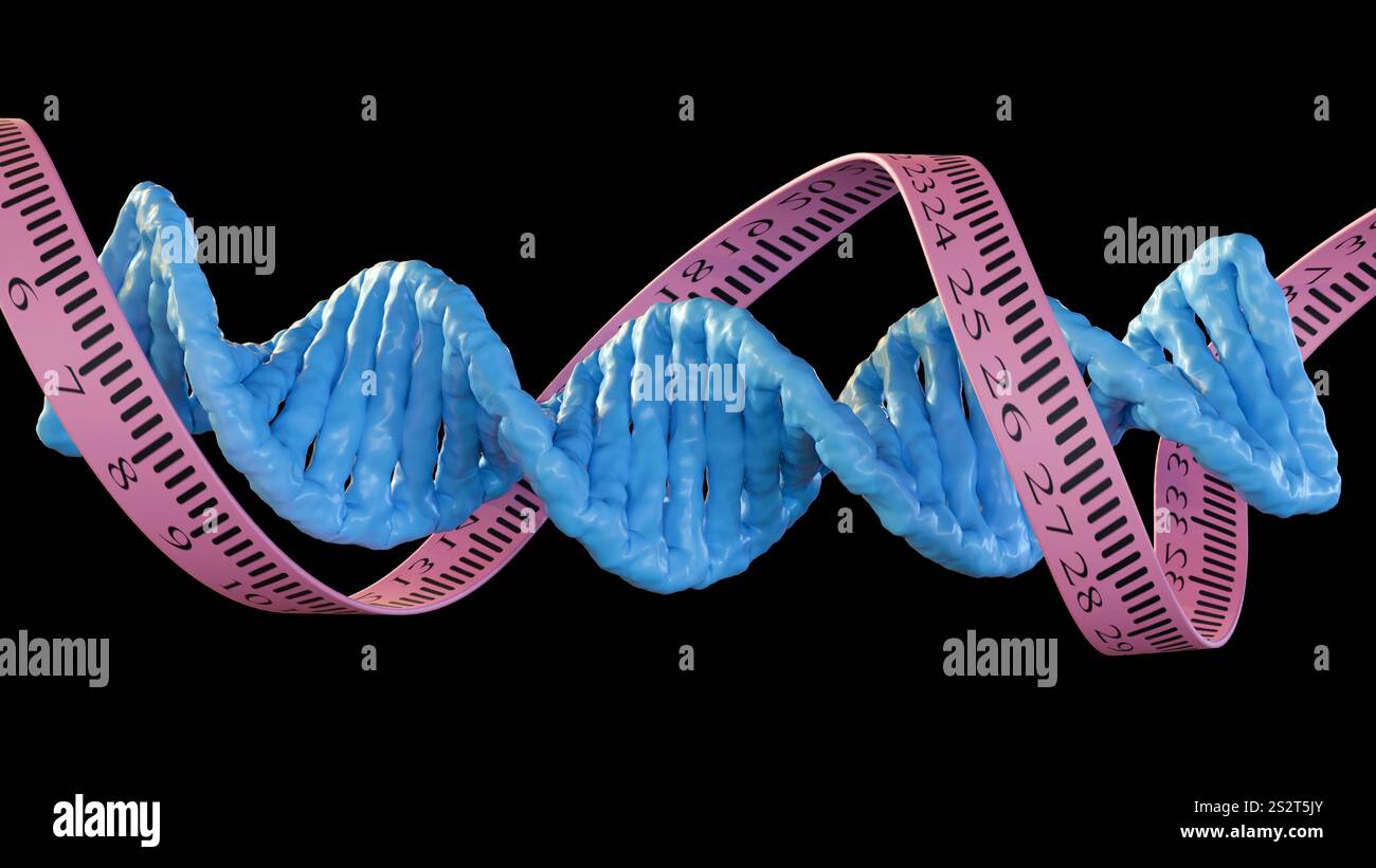 A 3d rendering of a measuring tape is wrapped around the biological DNA ...