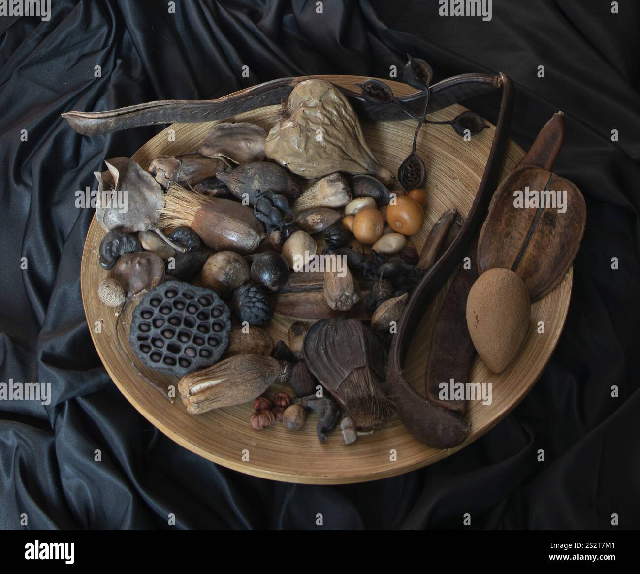 Collecting, seeds, hobby, still life, italy Stock Photo - Alamy