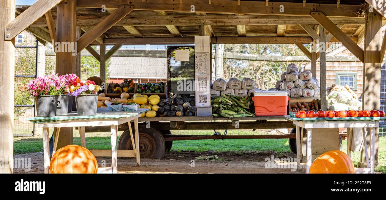 honor stand in bridgehampton, ny Stock Photo - Alamy