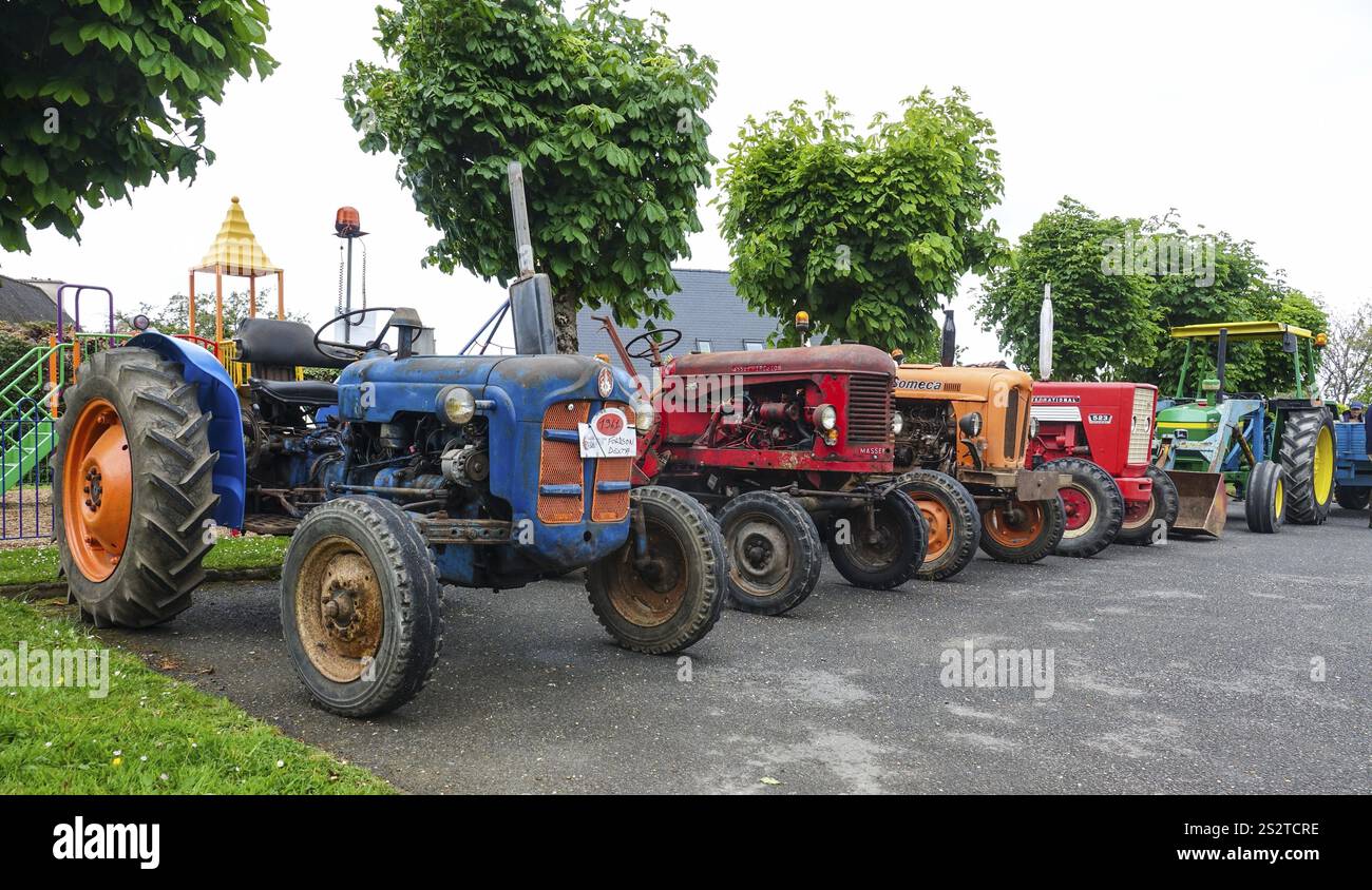 Old tractors, including Fordson Dextra, Massey Ferguson, Someca, John ...