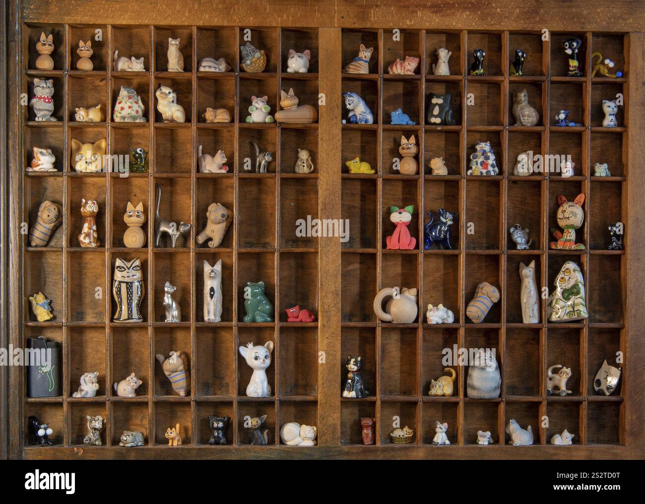 Collecting, hobby, cat, still life, italy Stock Photo - Alamy