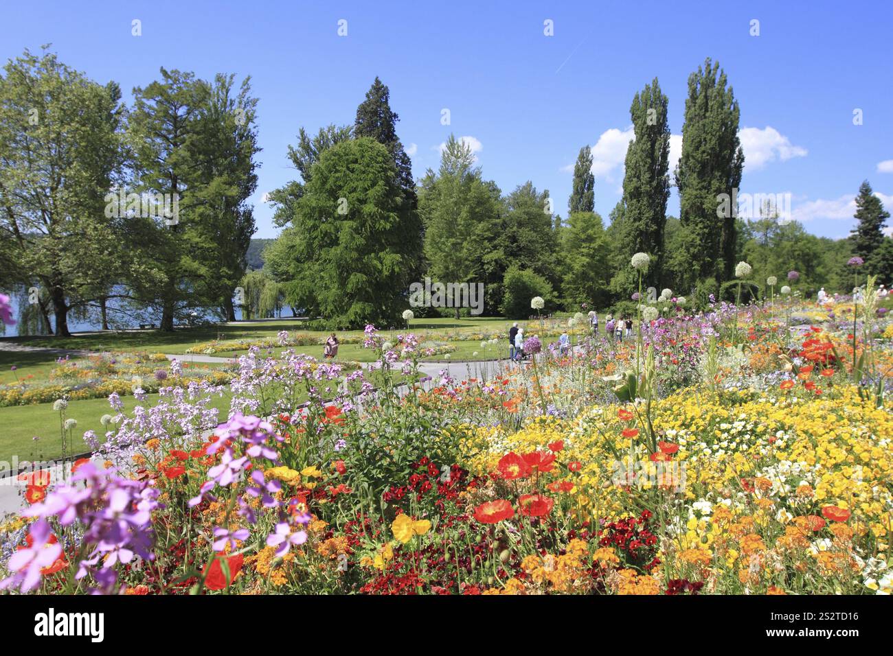 Flower meadow, Mainau Island, Constance district, Baden-Wuerttemberg ...
