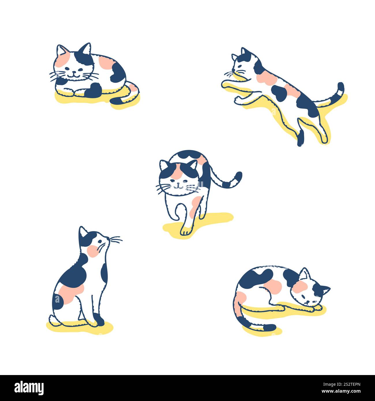 Cats in different poses Variation sets Stock Photo - Alamy