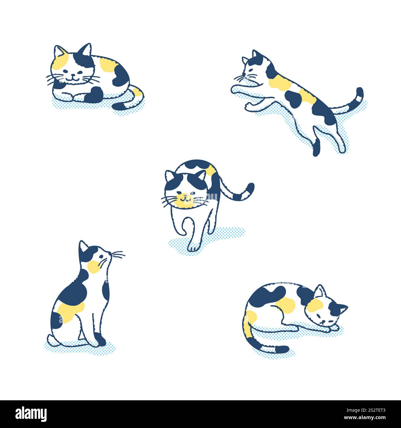 Kitten in different poses hi-res stock photography and images - Alamy