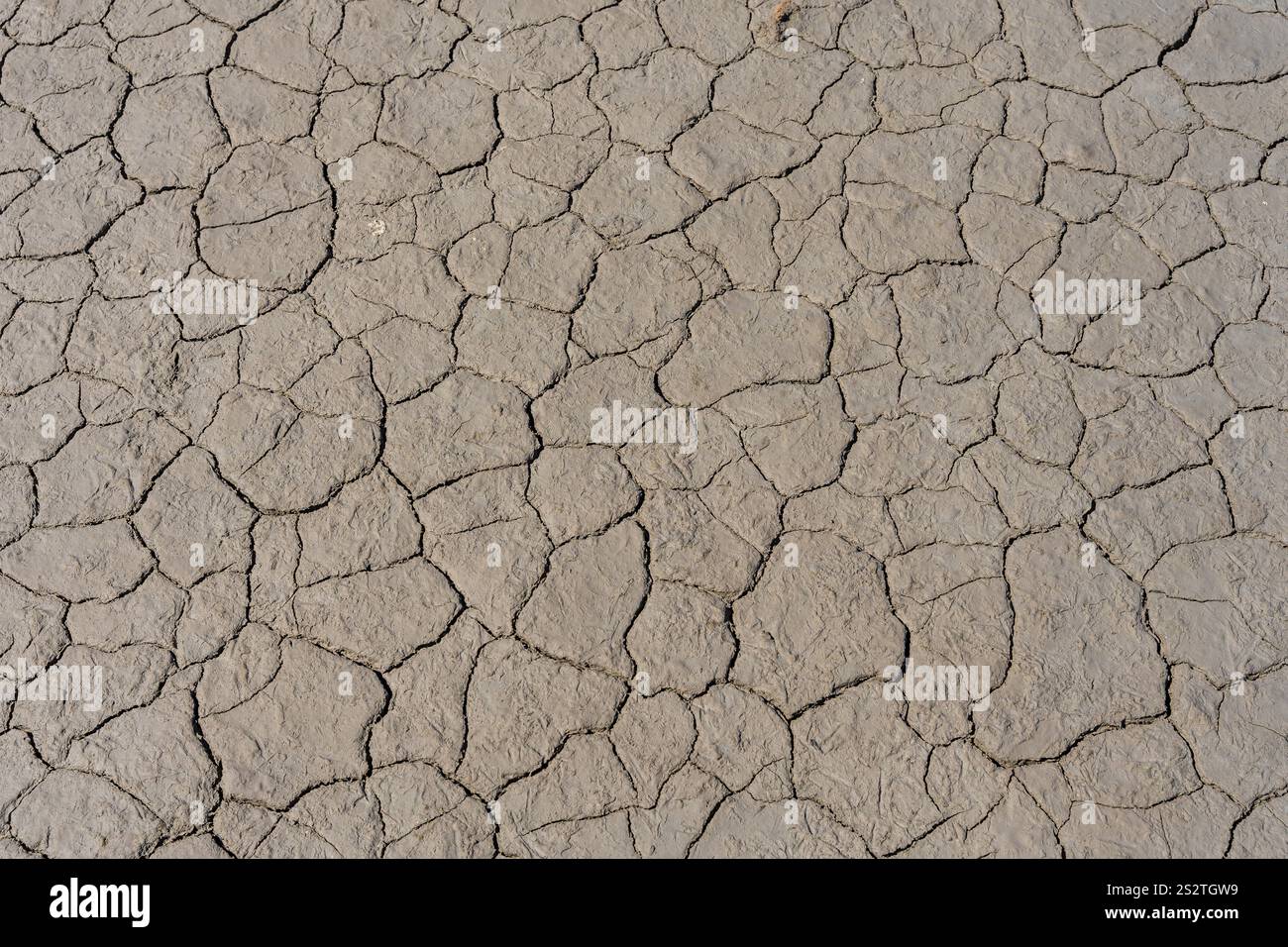 Dry cracked earth texture creating a parched landscape, highlighting the impact of drought and ...