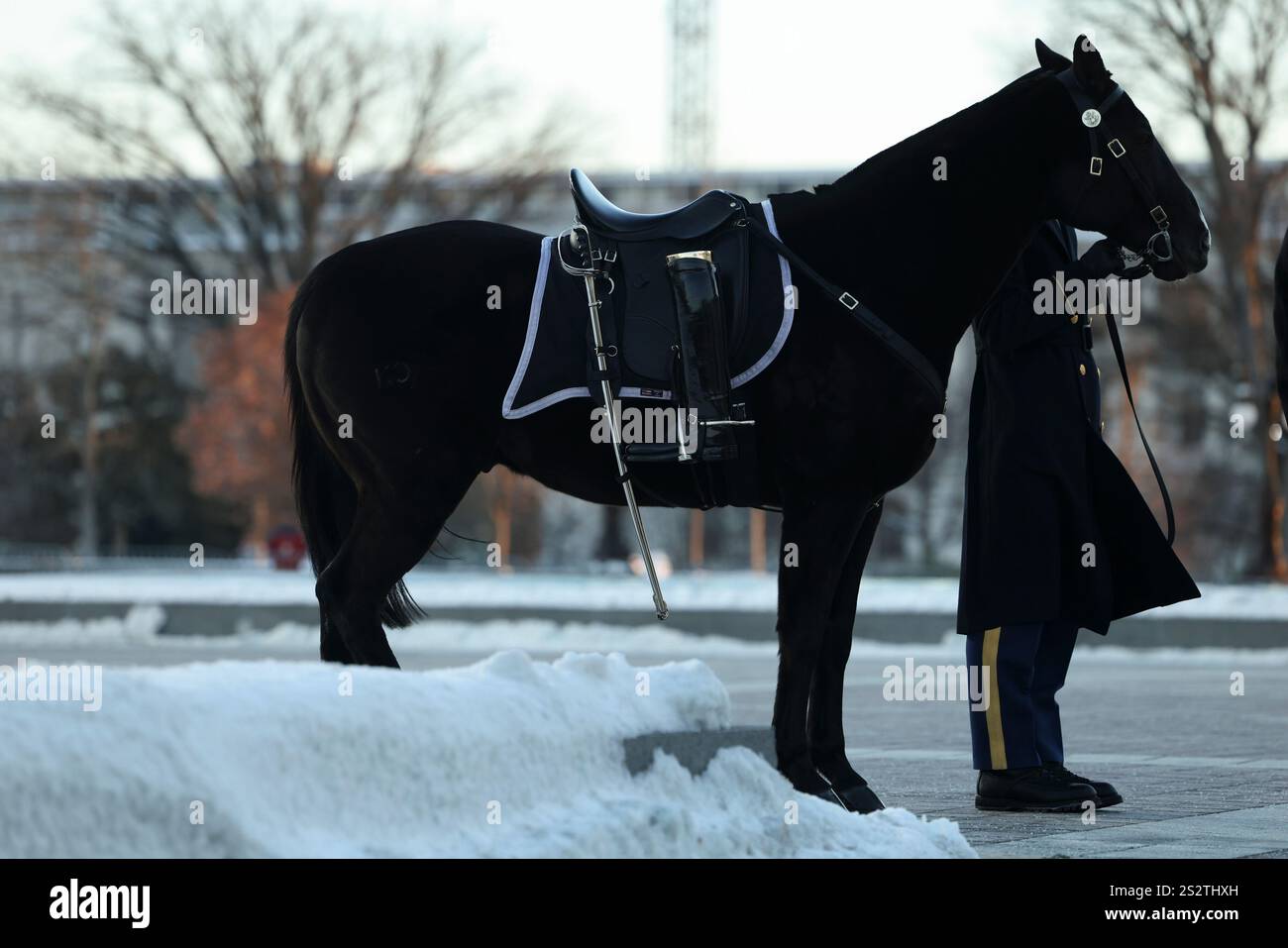 A riderless horse accompanies the funeral procession with the casket of ...