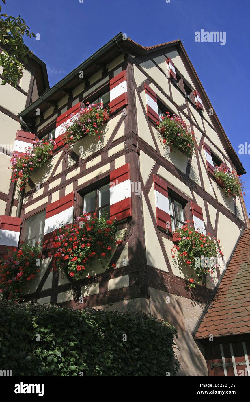 Geraniums in flower boxes on the windows of a half-timbered house ...