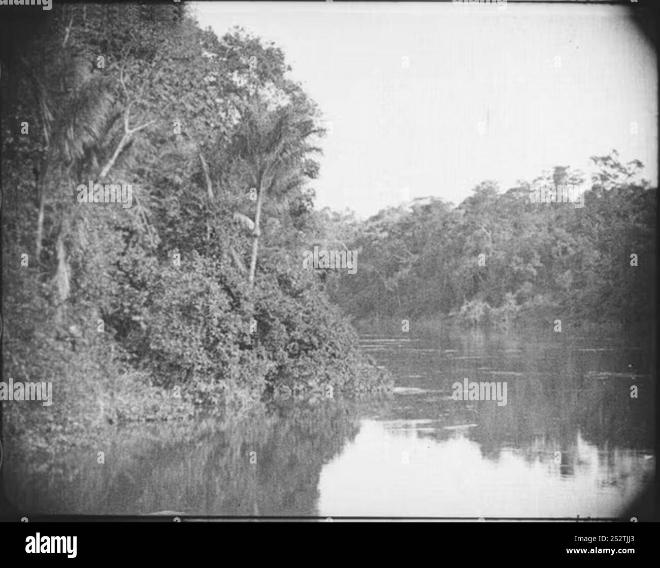 Frame A from Amazonas, o maior rio do mundo Stock Photo - Alamy