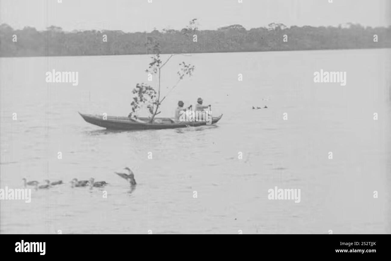Frame B from Amazonas, o maior rio do mundo Stock Photo - Alamy