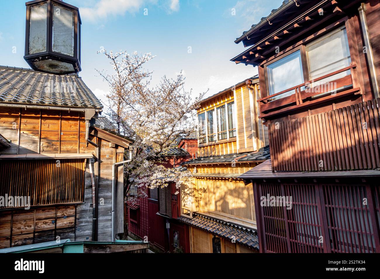 Kanazawa Golden Hour during Hanami and wooden traditional houses. Japan ...