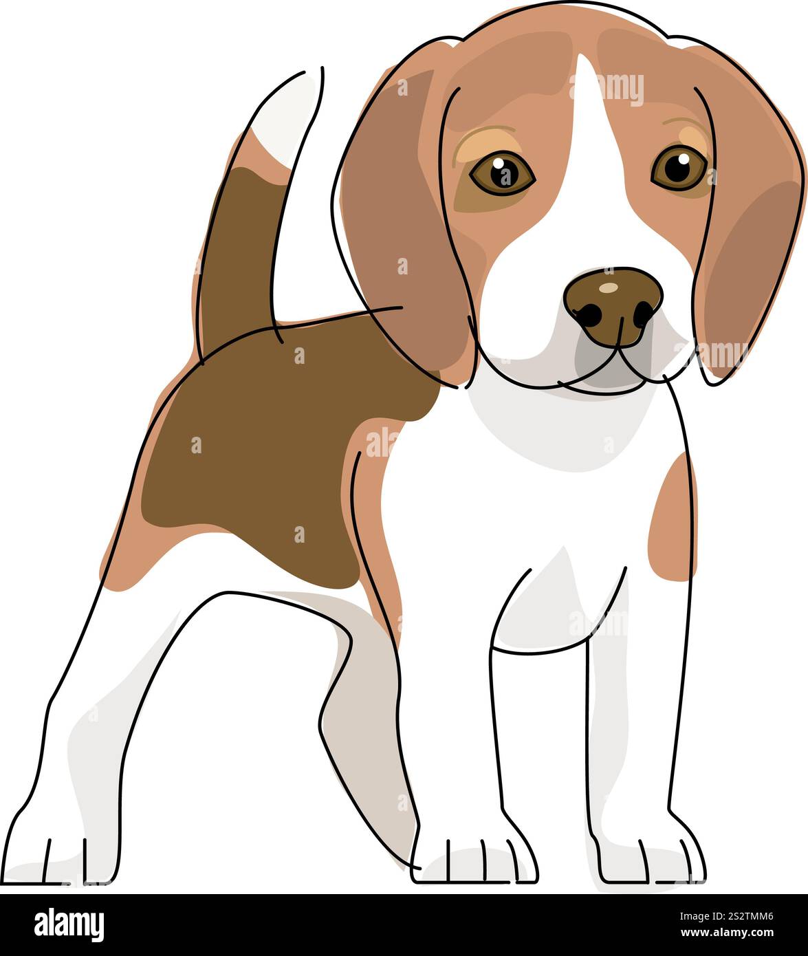 Cute beagle dog pet Cut Out Stock Images & Pictures - Alamy