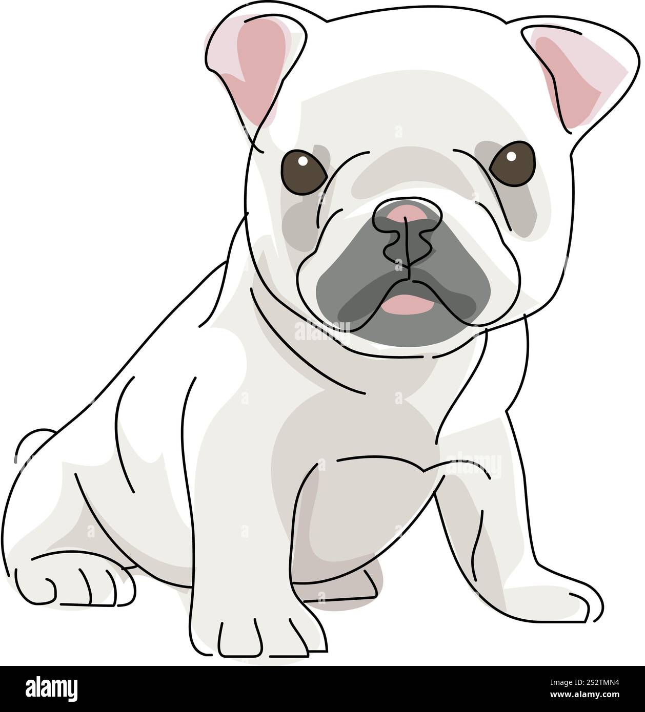 Cute french bulldog pet Cut Out Stock Images & Pictures - Alamy