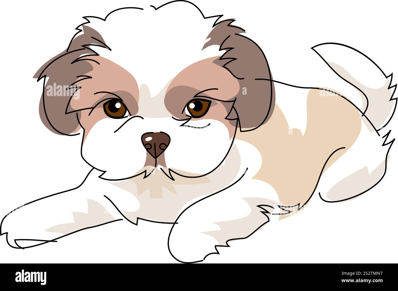 Cute small shih tzu dog Cut Out Stock Images & Pictures - Alamy