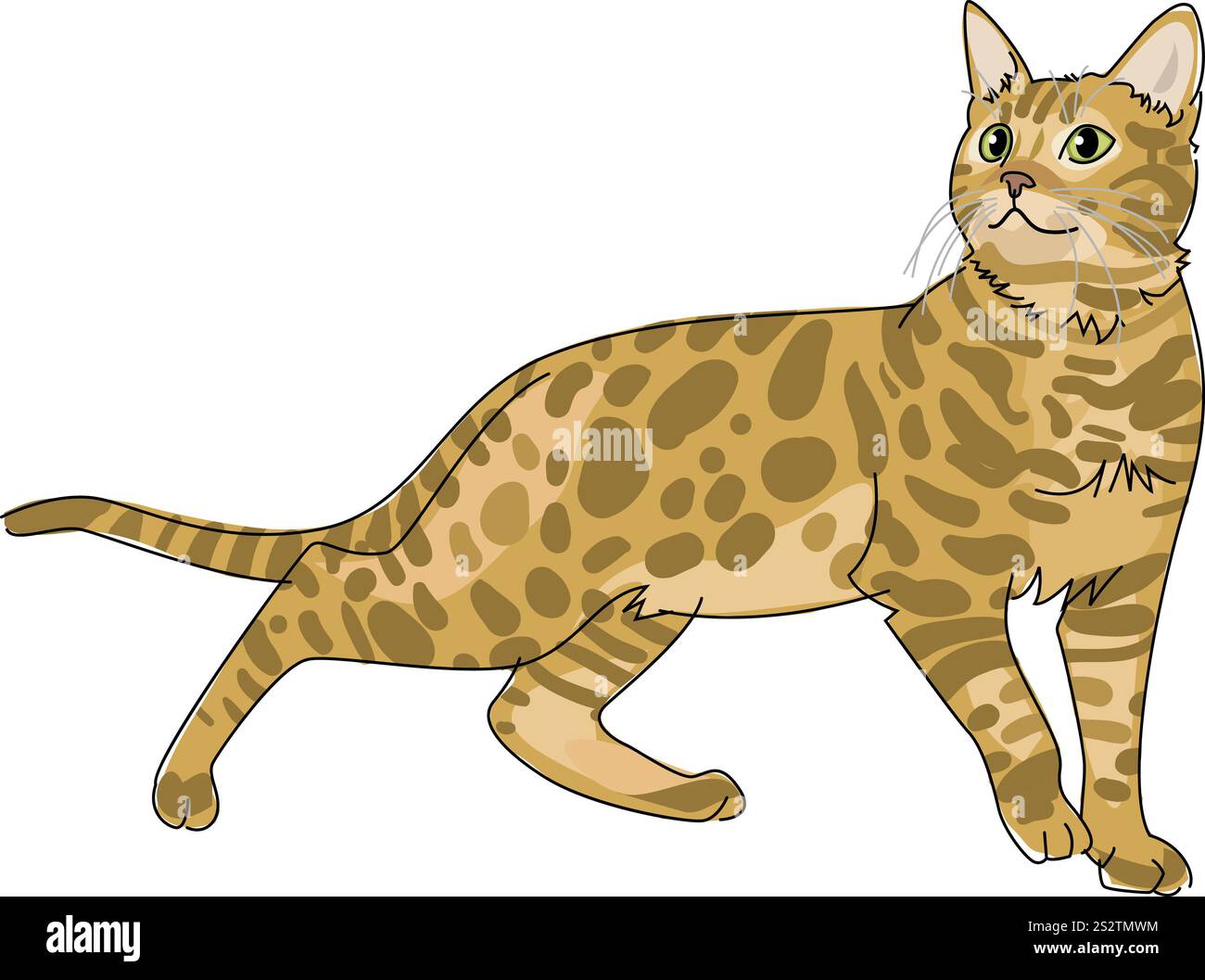 Cute brown white cat Cut Out Stock Images & Pictures - Alamy