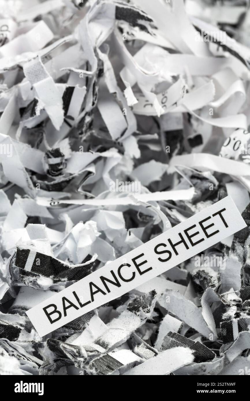 Paper shreds with the keyword Balance Sheet, symbolic photo for data ...