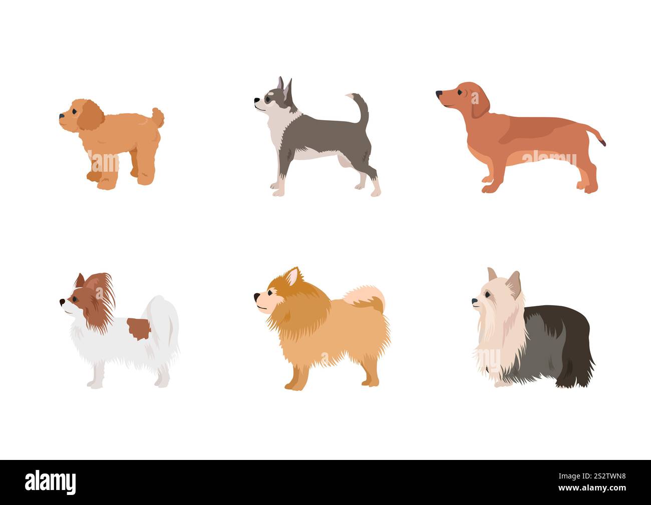 Small body parts Cut Out Stock Images & Pictures - Alamy