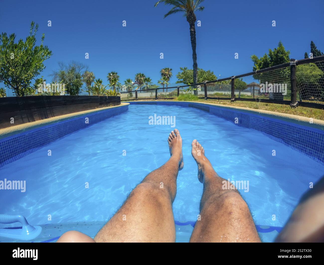 Legs of a tourist floating and relaxing on inflatable ring in lazy ...