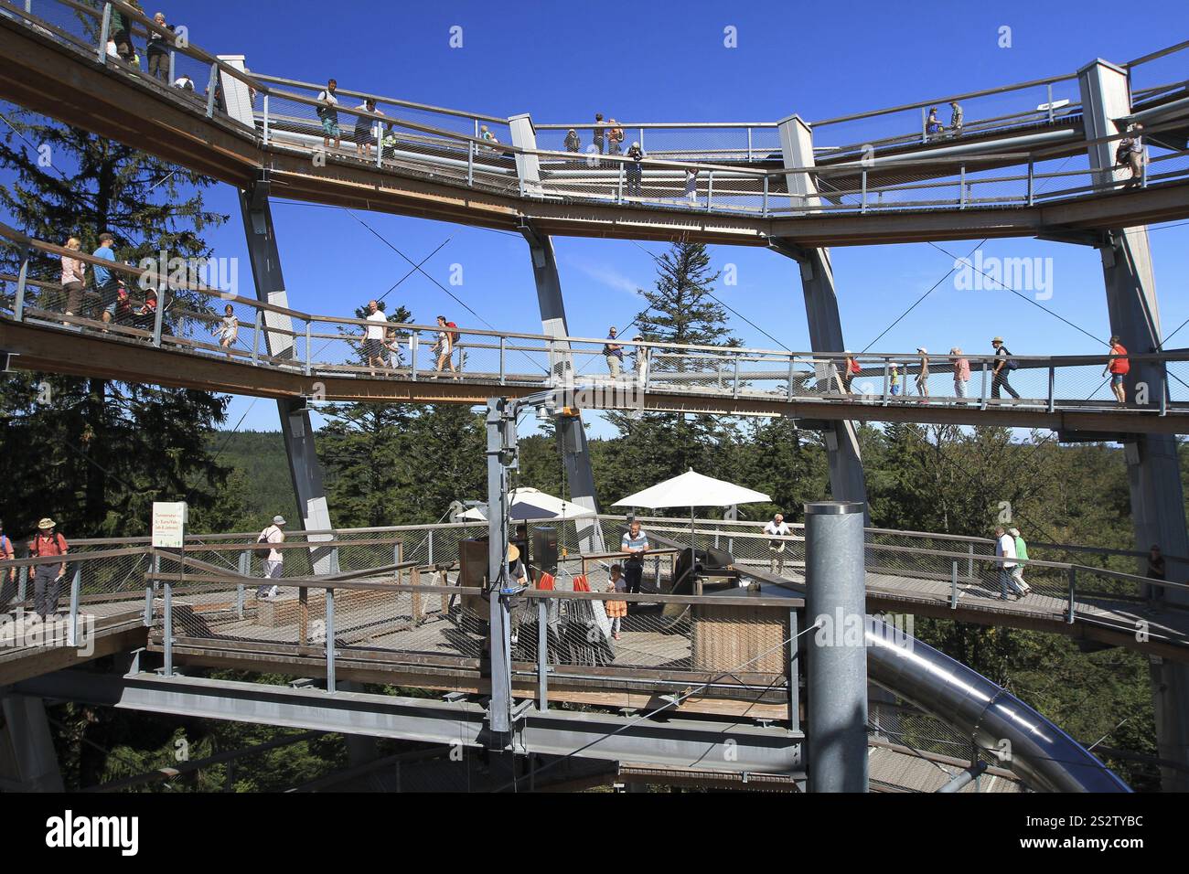 Black Forest treetop walk observation tower, Bad Wildbad, Baden ...