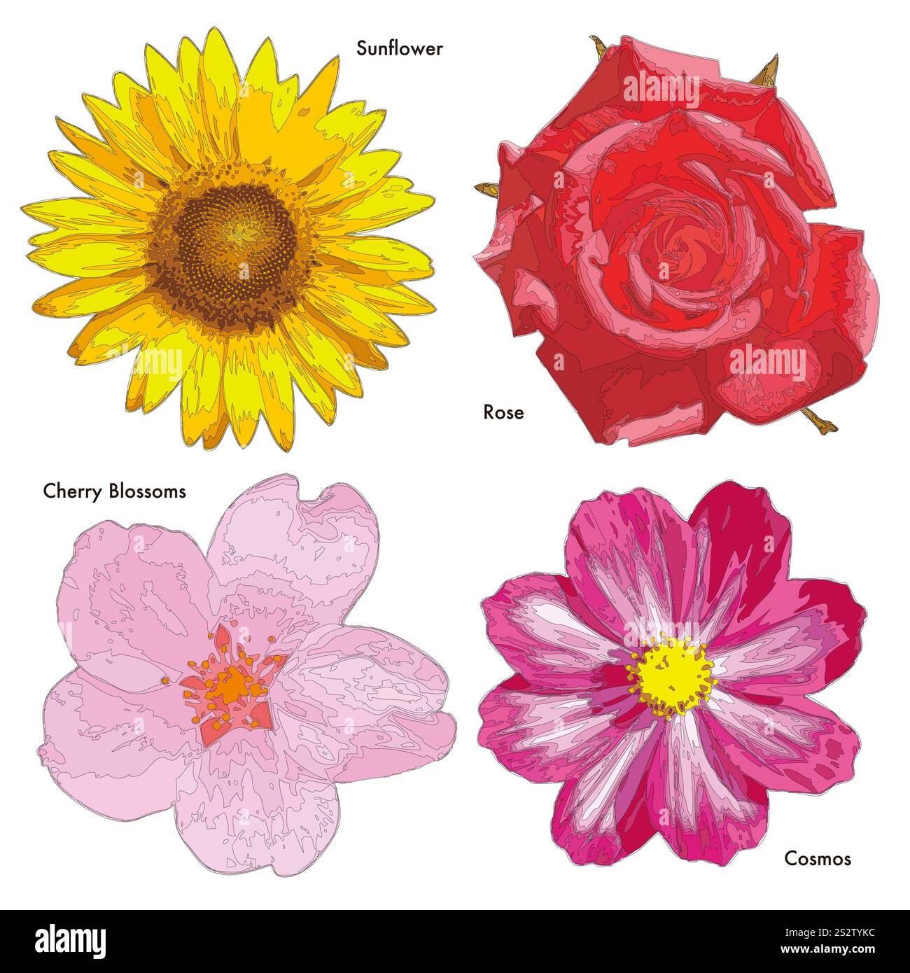 Four flowers in season Stock Photo - Alamy