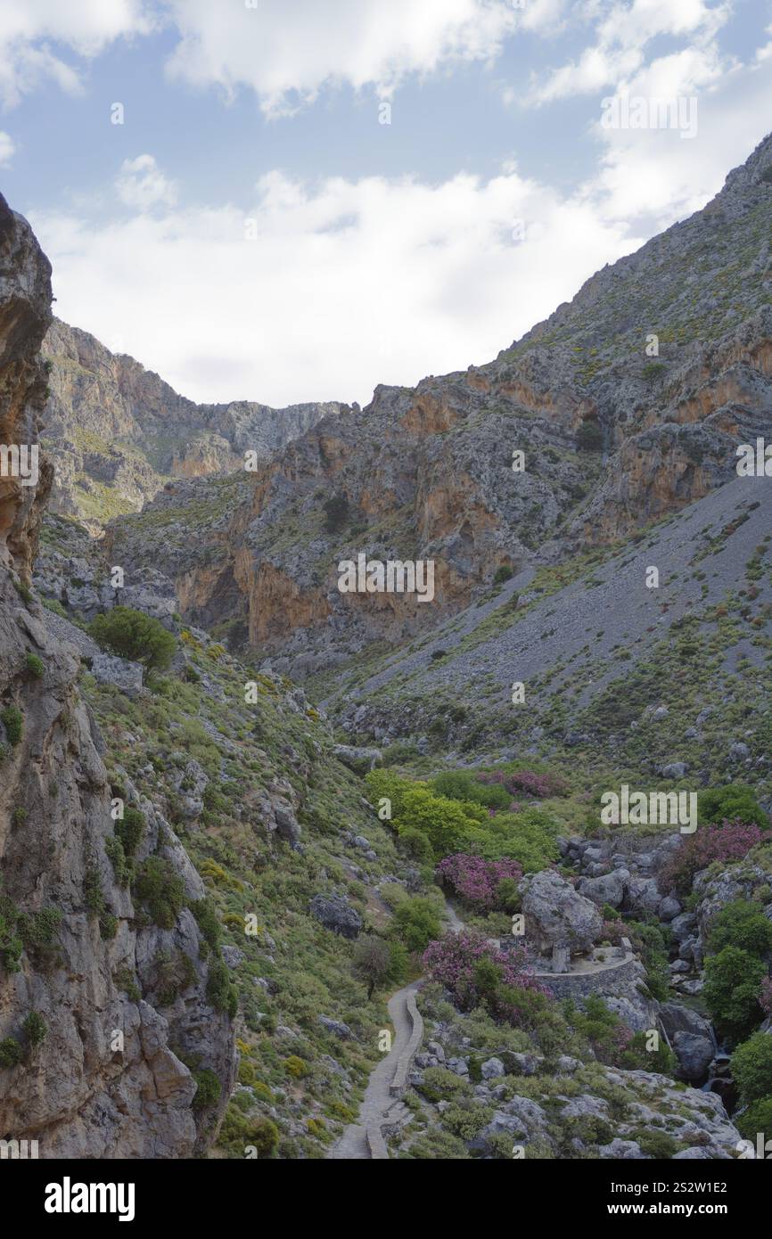 Kourtaliotiko Gorge, Finikas, vulture, bird of prey, hiking, Libyan Sea ...