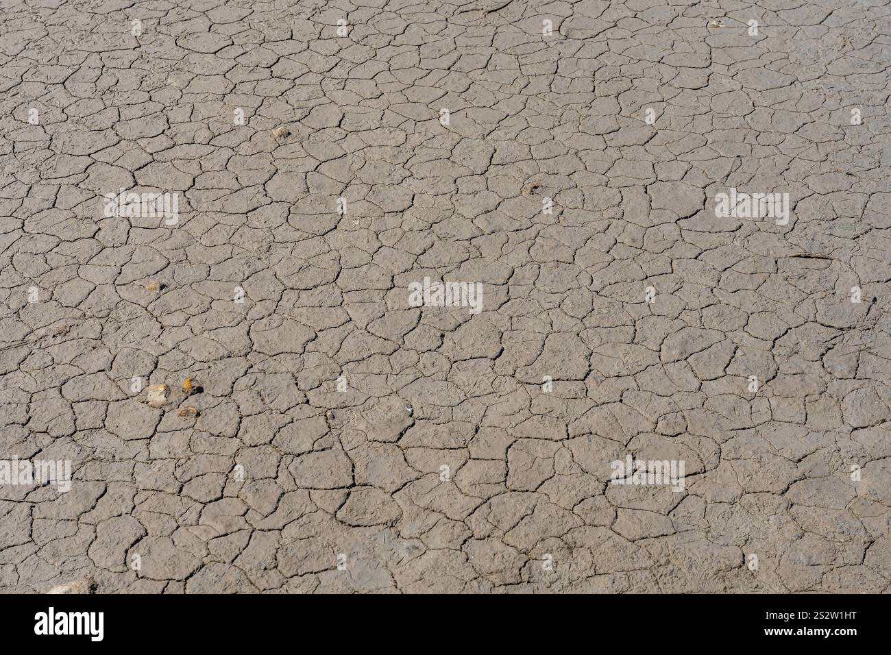 Dry, cracked earth texture reveals the devastating effects of severe ...