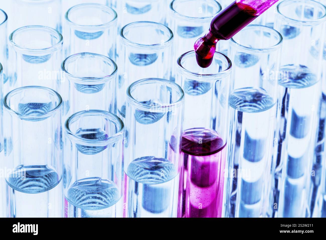 Many test tubes during an experiment in a university research ...