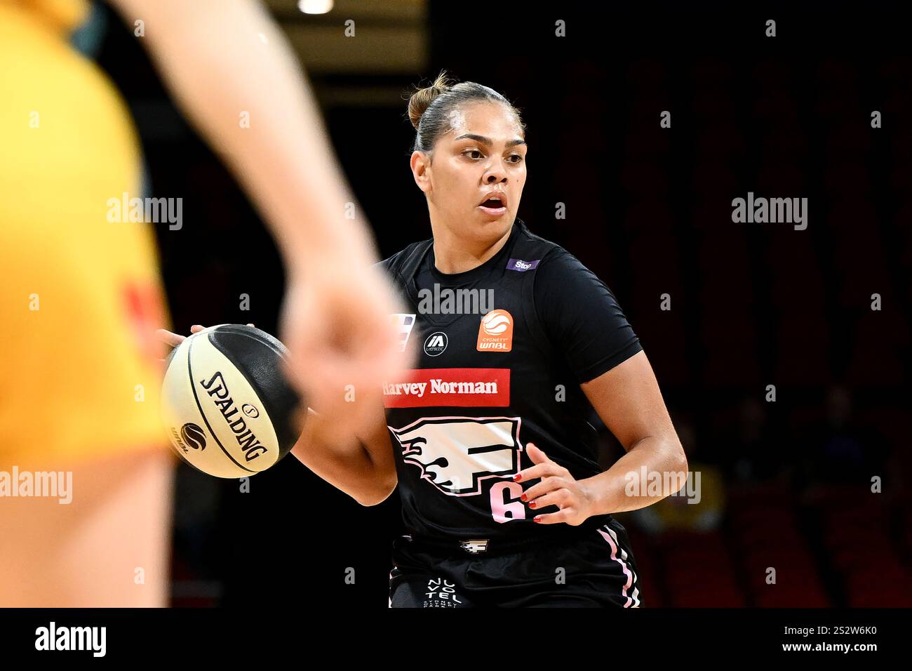 Sydney, Australia. 02nd Jan, 2025. Shaneice Swain of the Flames during ...