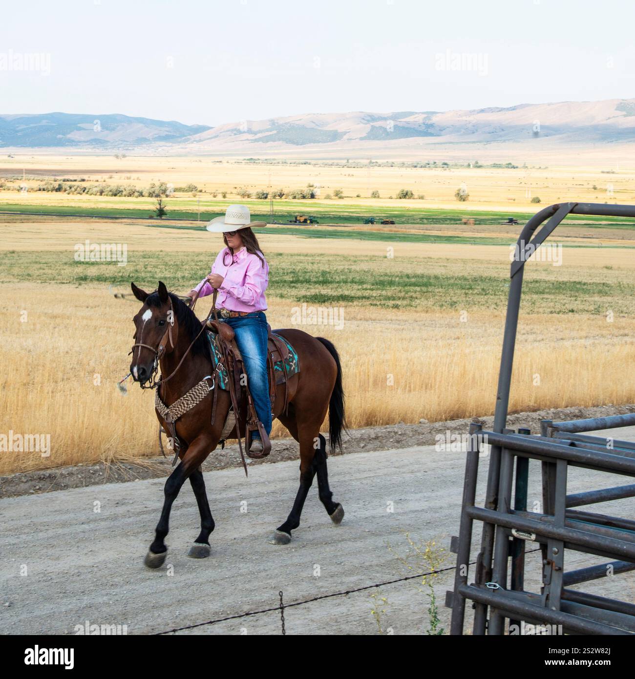 A cowgirl wearing a pink western shirt and white cowboy hat rides a dark brown horse along a ...