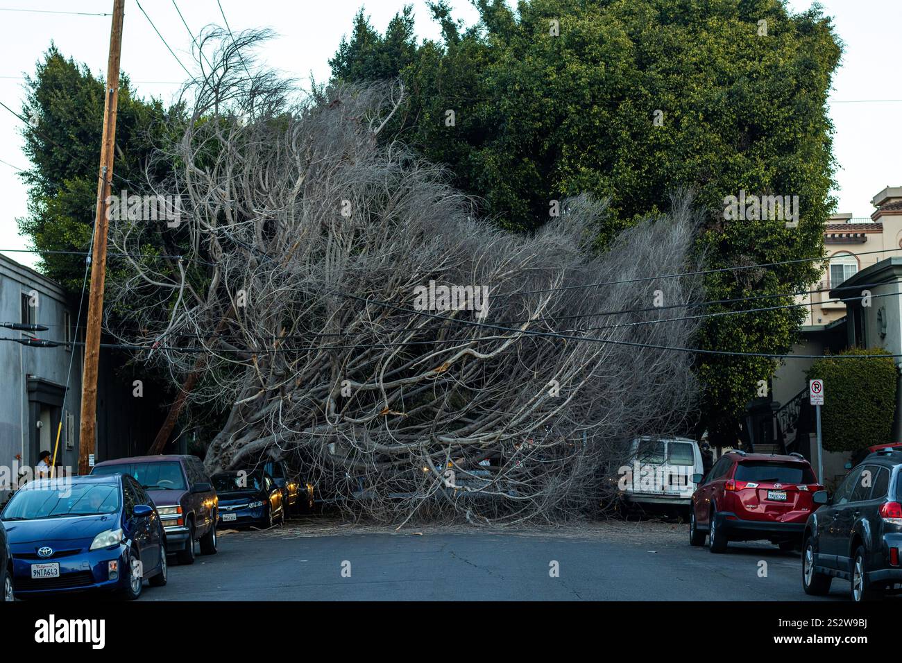 Los Angeles, USA. 7th January, 2025. The Pacific Palisades fire burns ...