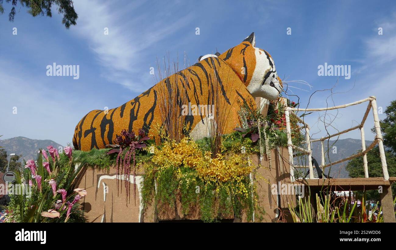 Pasadena, California, USA 3rd January 2025 at 2025 Tiger on San Diego ...