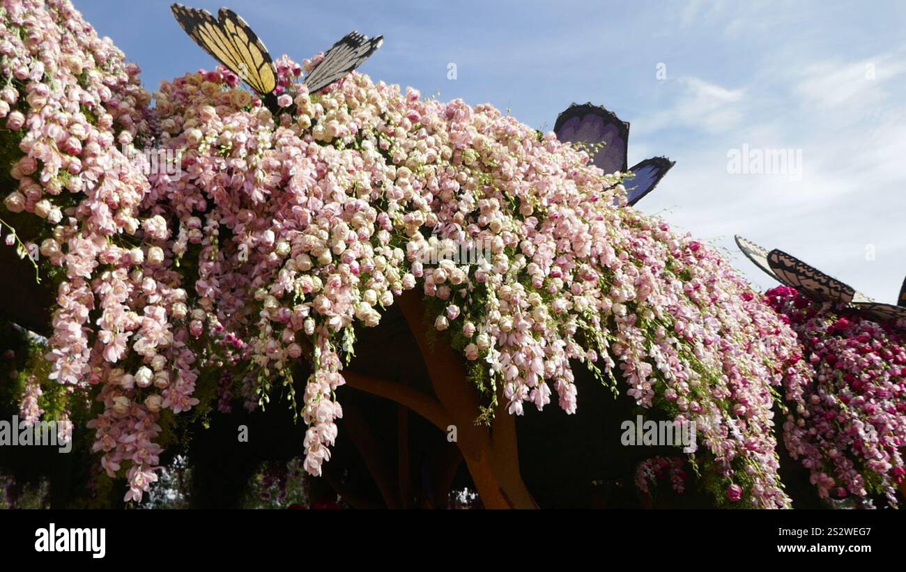 Pasadena, California, USA 3rd January 2025 at 2025 Butterflies and ...