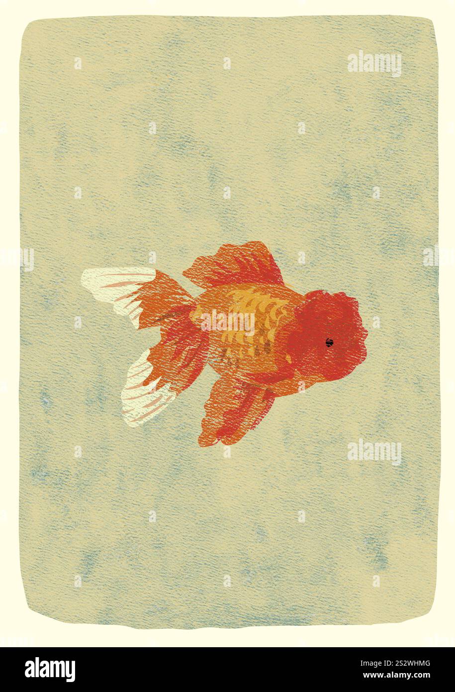 Orchid catalog hi-res stock photography and images - Alamy