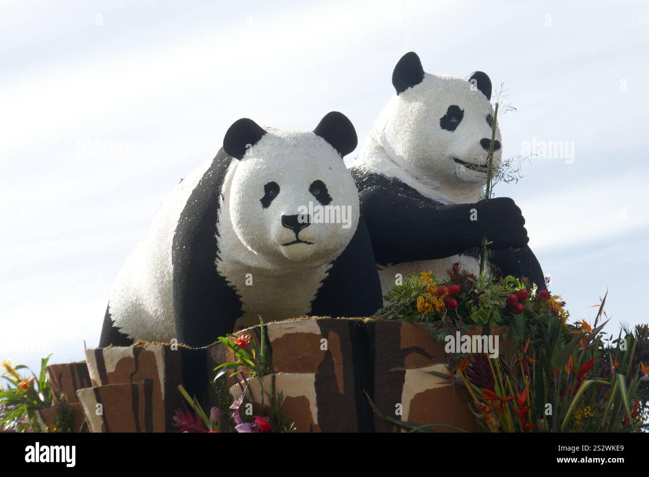 Pasadena, California, USA 3rd January 2025 at 2025 Pandas on San Diego ...