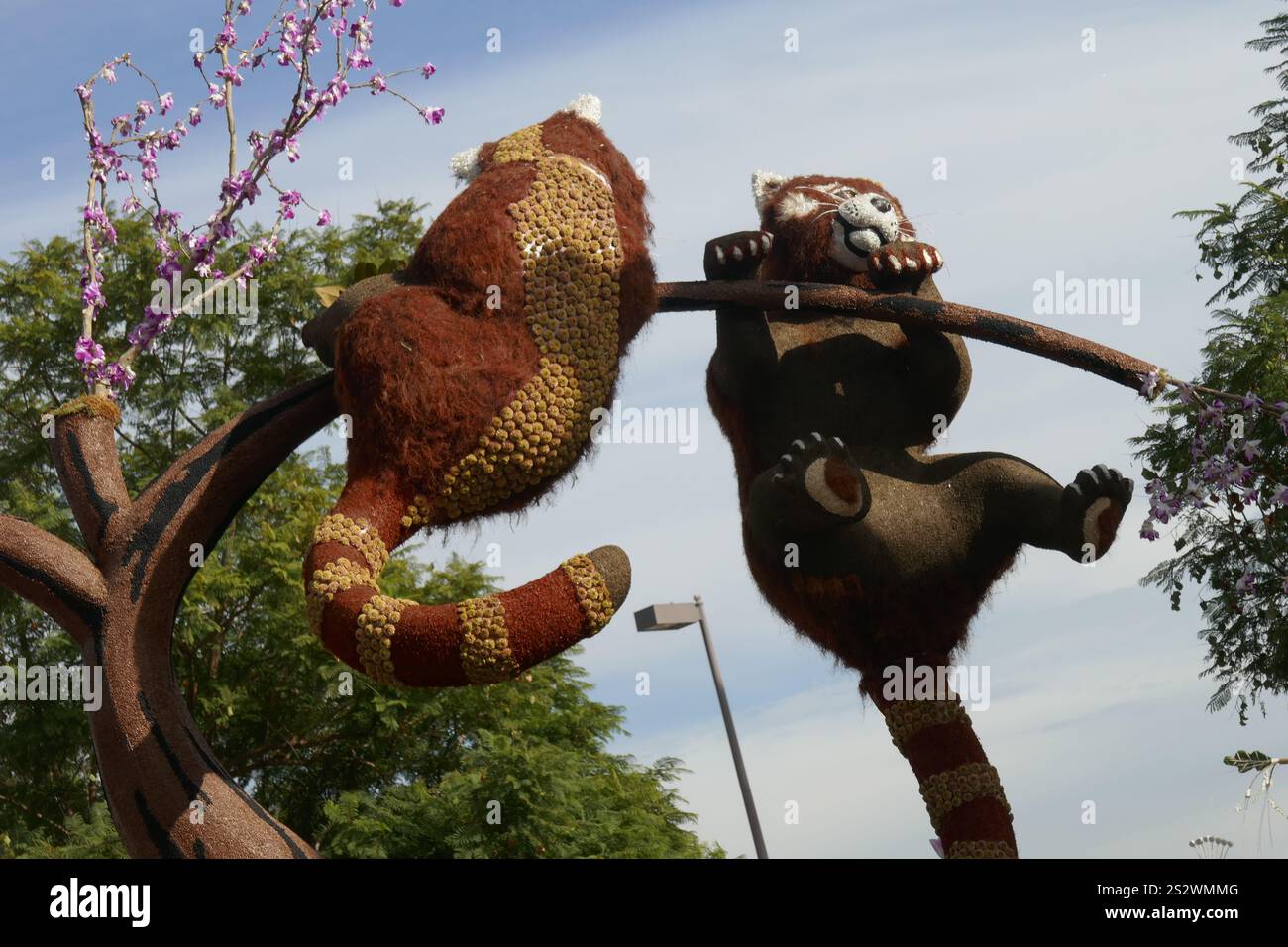 Pasadena, California, USA 3rd January 2025 at 2025 Red Pandas on San ...