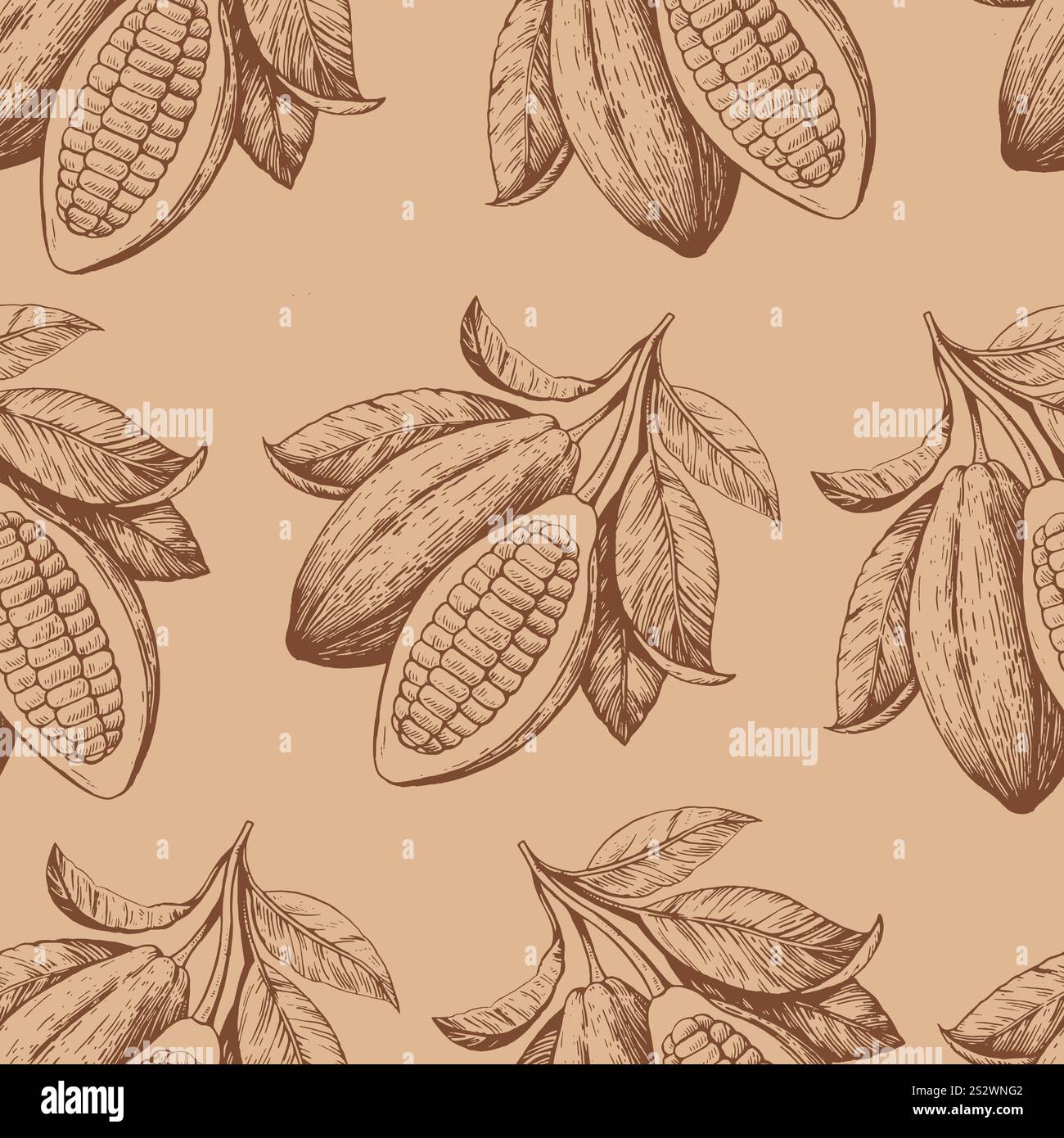 Seamless pattern with cocoa beans. Hand-drawn monochrome vector ...