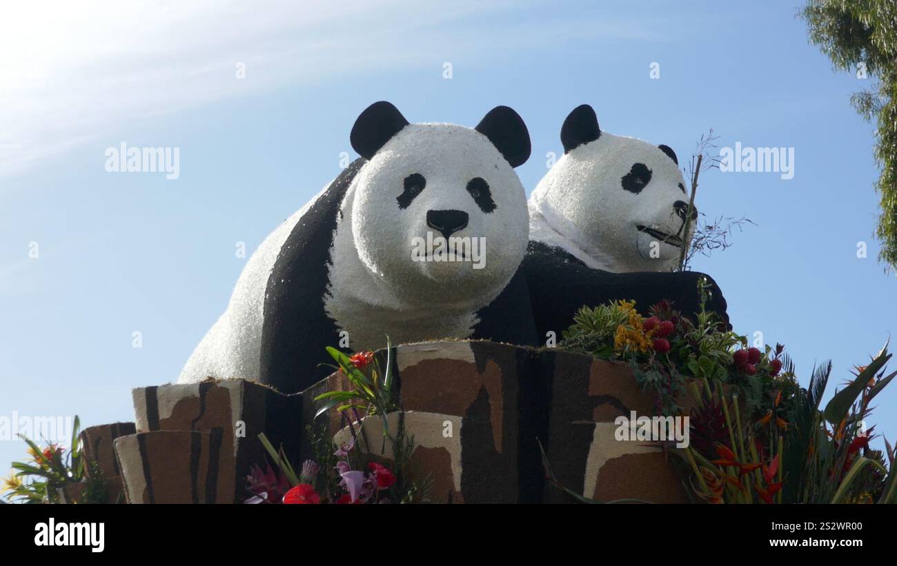 Pasadena, California, USA 3rd January 2025 at 2025 Pandas on San Diego ...